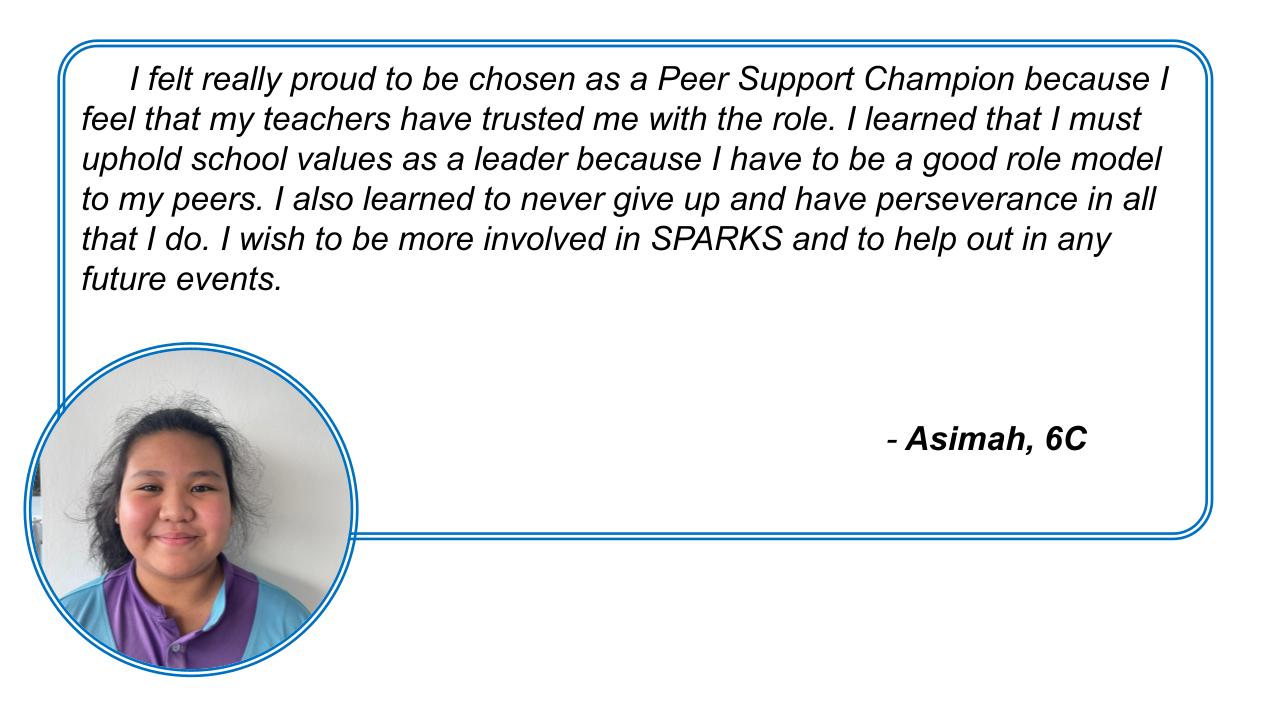 Peer Support Champions